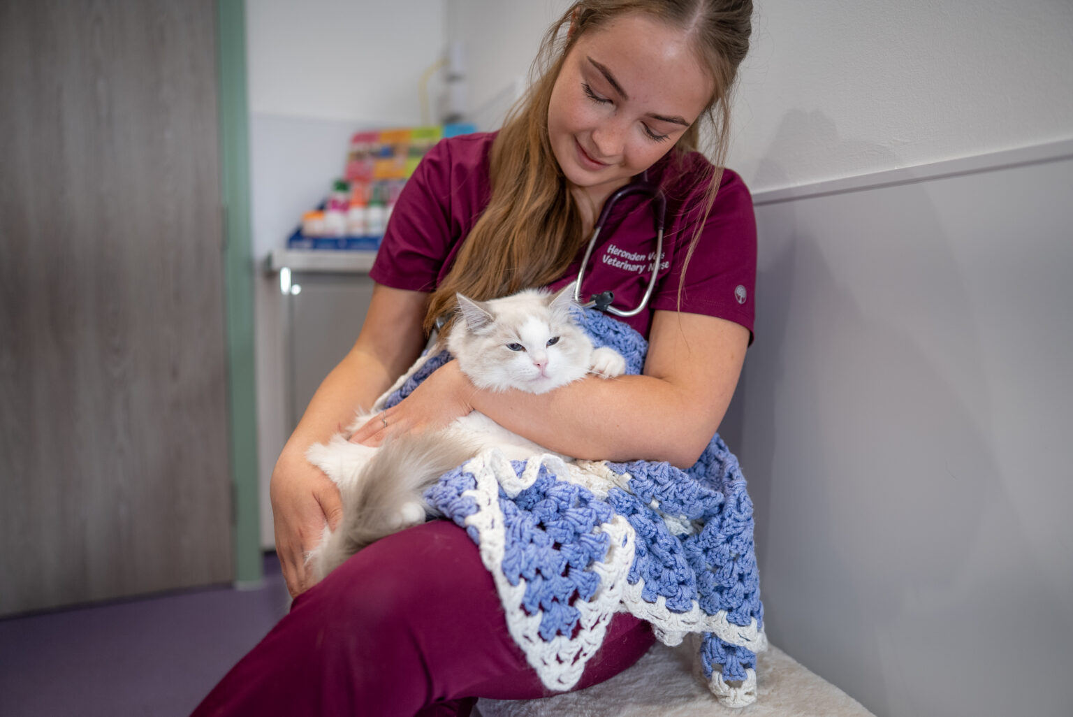 Lethargy in Cats: Possible Causes and When to Seek Veterinary Advice ...